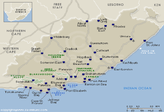 Never Daunted - Hogsback, South Africa